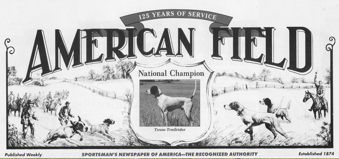 Crime and Punishment in the Bird Dog World – Tom Word